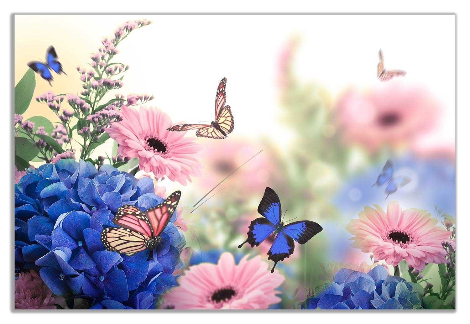 Spring Flowers And Butterflies Images