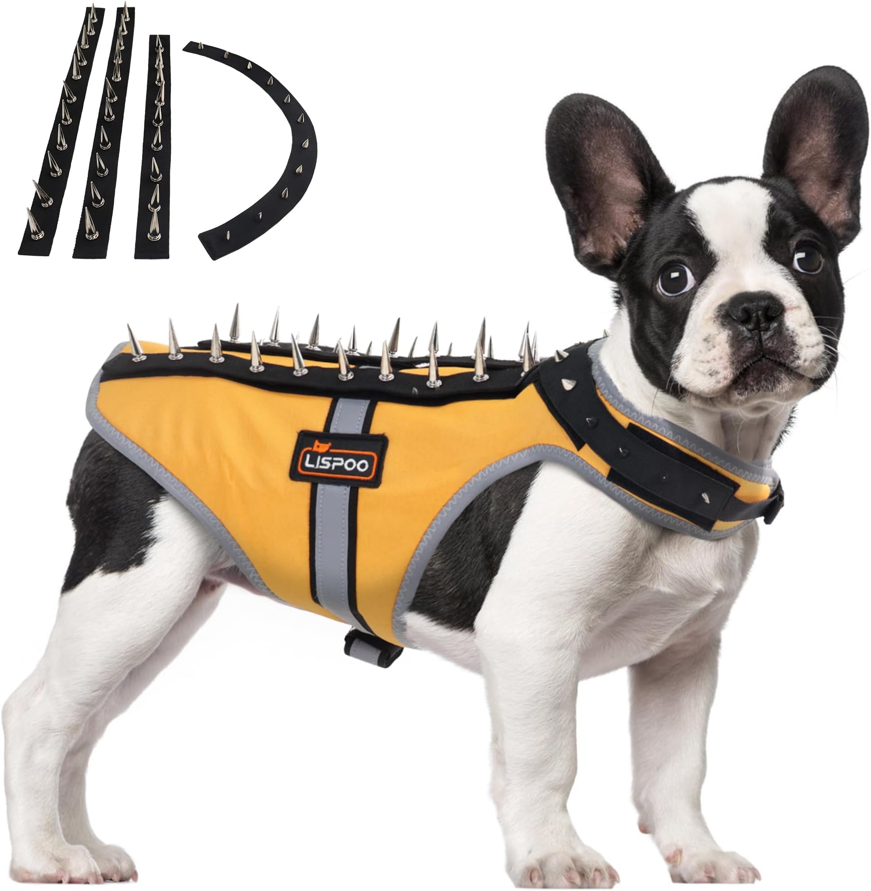 Amazon.com : RIXBEO Coyote Proof Dog Vest,for Small Dogs,All Seasons ...