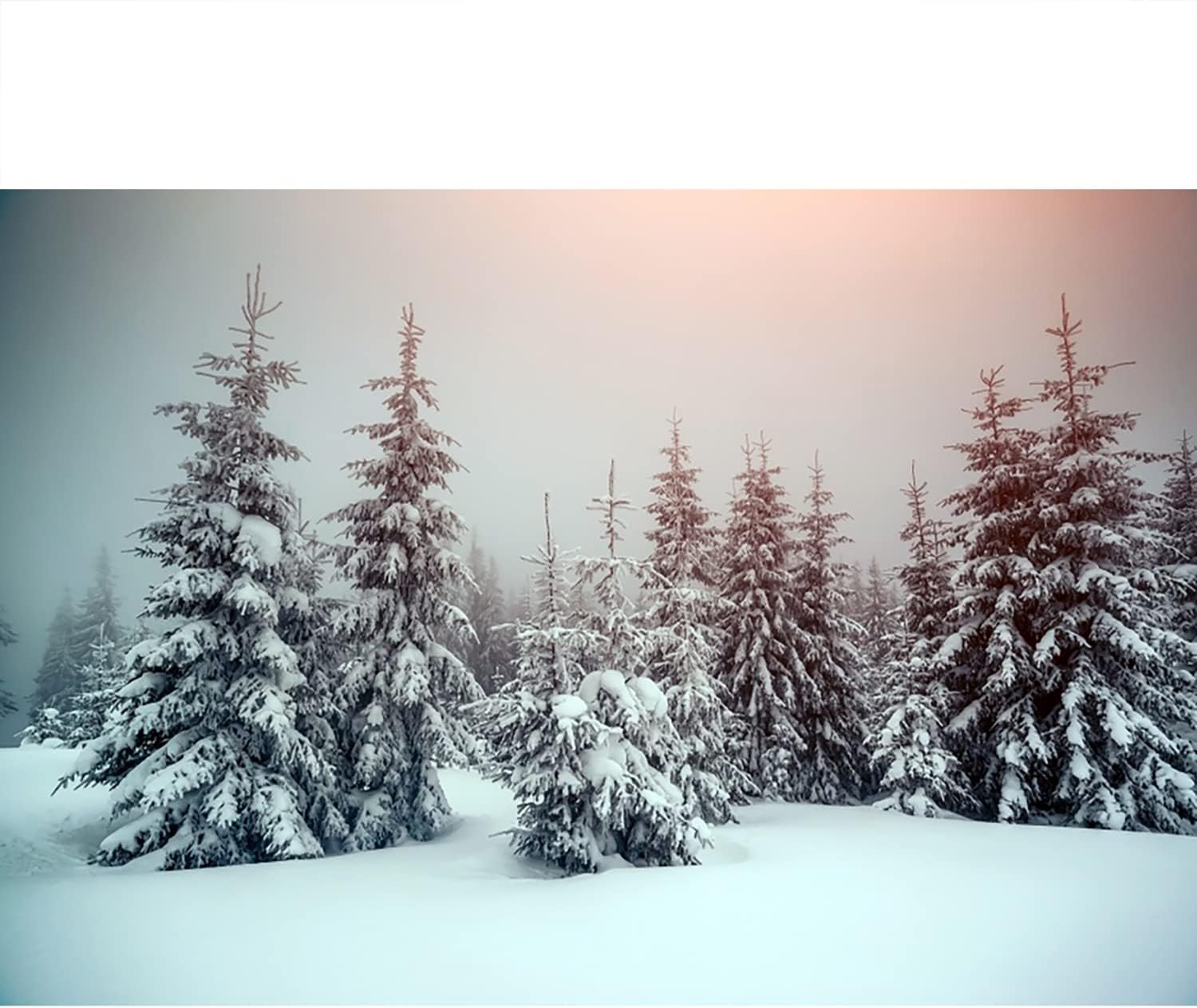 Amazon.com : Renaiss 7x5ft Snow Scenery Backdrop Snow Covered Pine ...