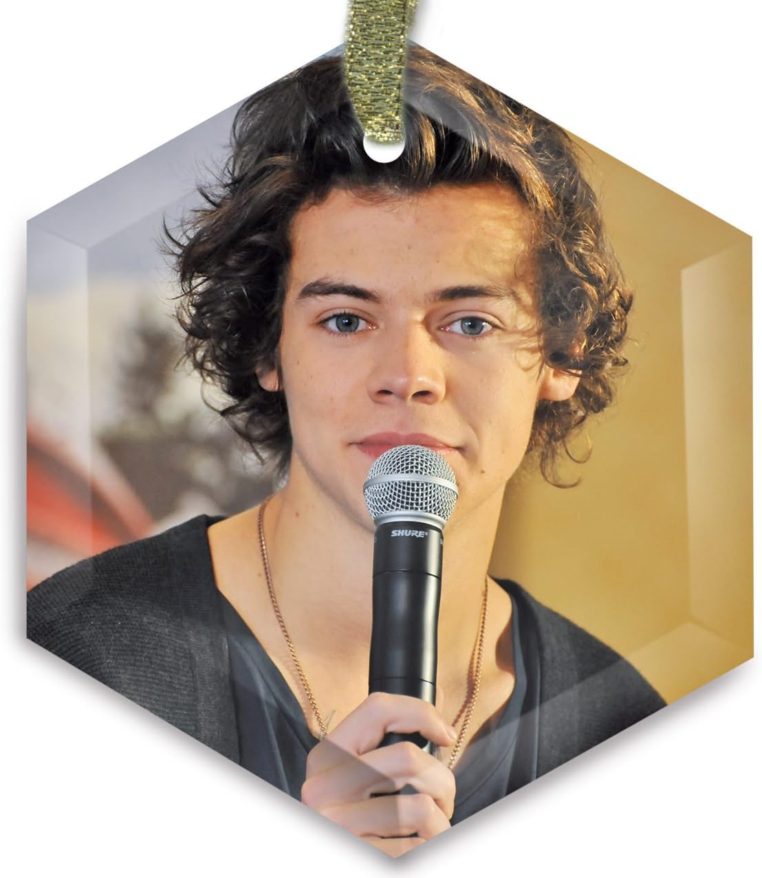 One Direction 1D v1 Crystal Christmas Ornament : Amazon.ca: Home