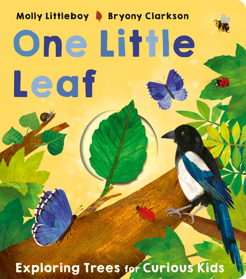 One Little Leaf : Littleboy, Molly, Clarkson, Bryony: Amazon.co.uk: Books