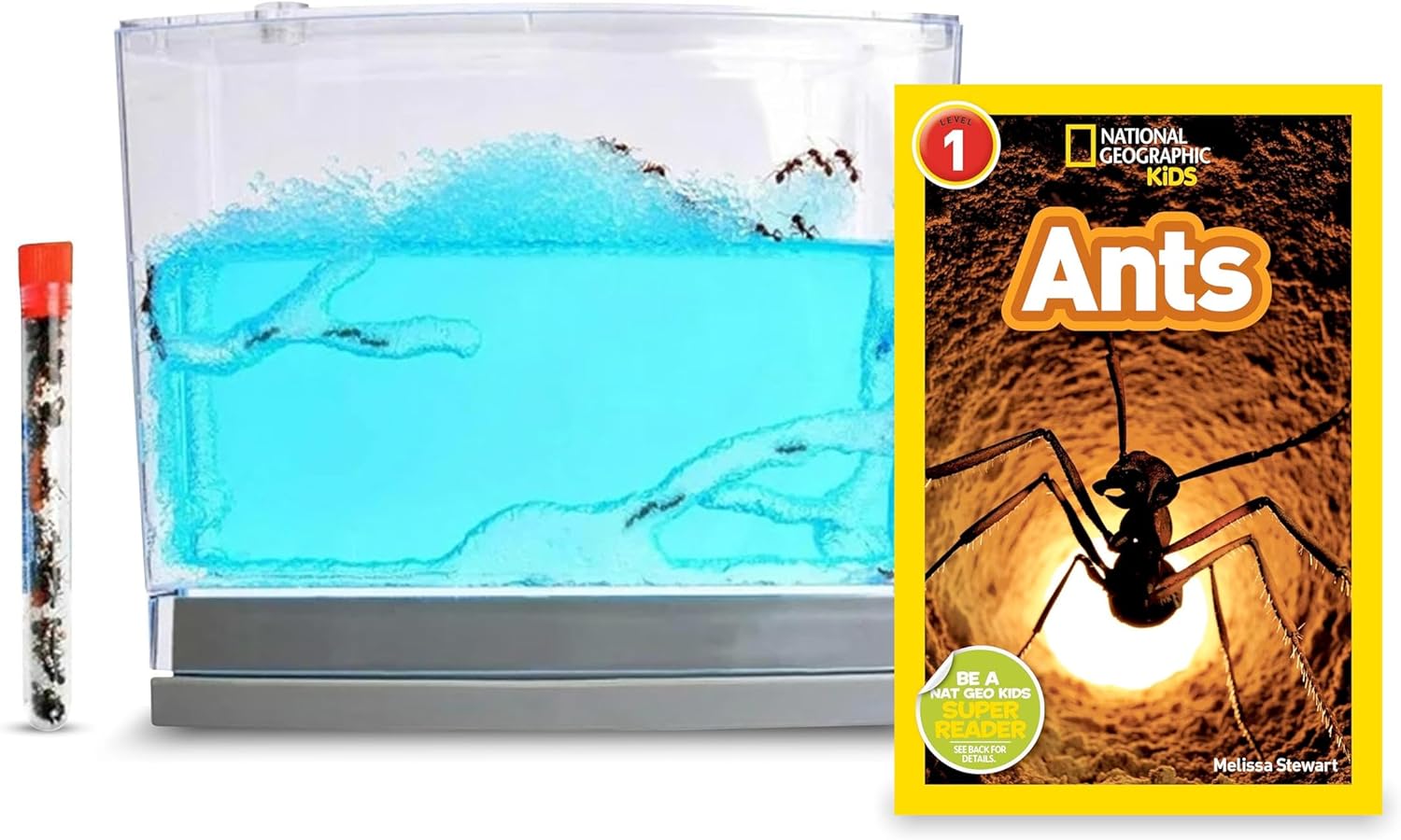 Amazon.com: Ant Habitat Kit with 25 Live Ants and Book Bundle - Ant ...
