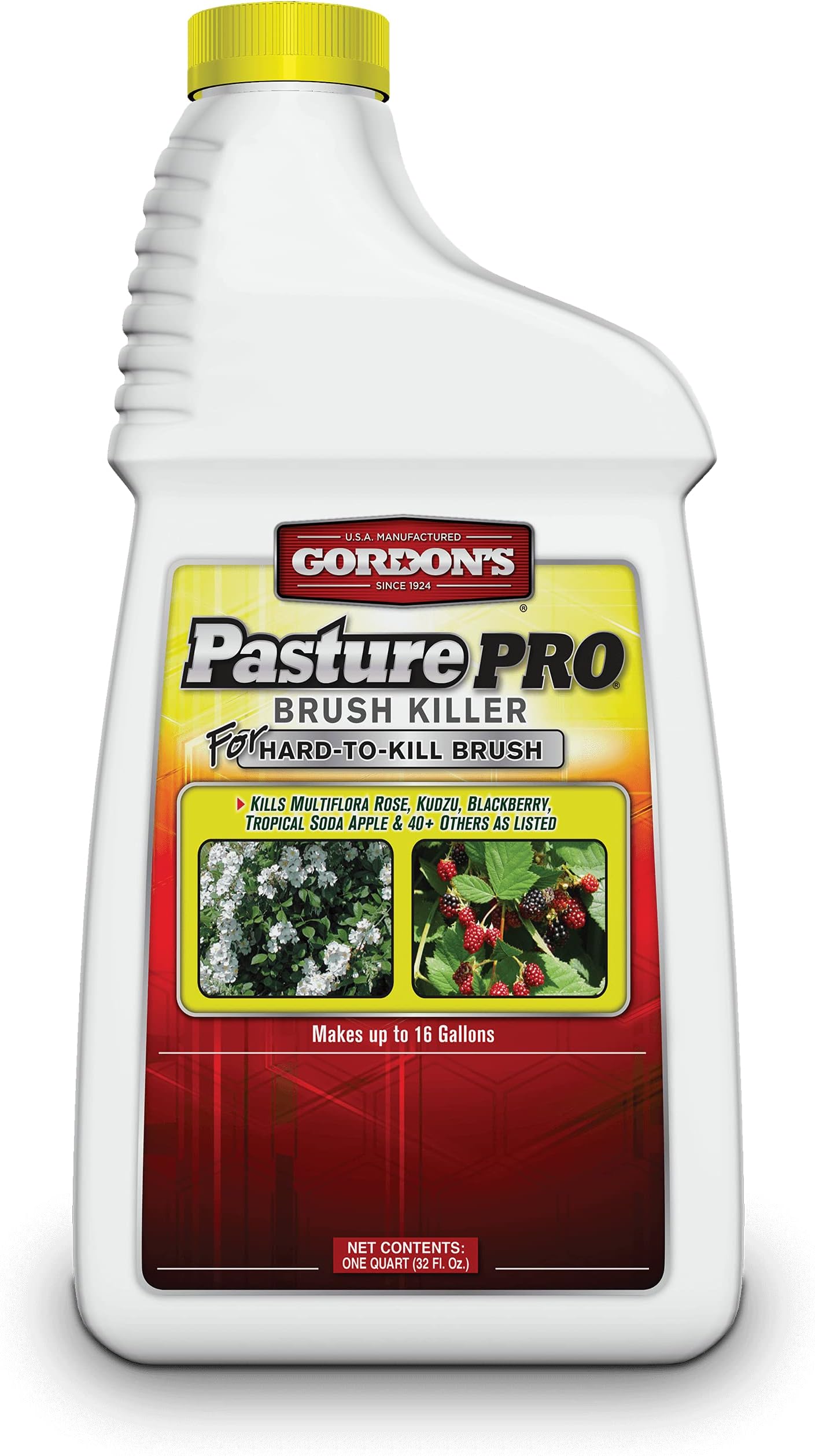 Amazon.com : Gordon's Pasture Pro Brush Killer for Hard-to-Kill Brush ...
