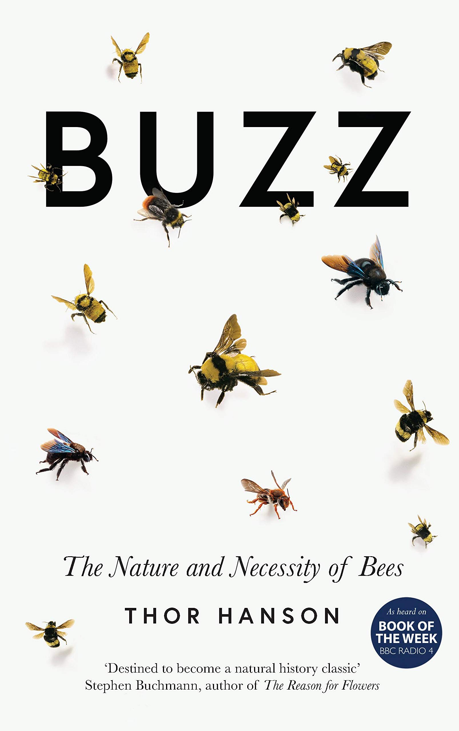 Buzz: The Nature and Necessity of Bees: Hanson, Thor: 9780465052615 ...