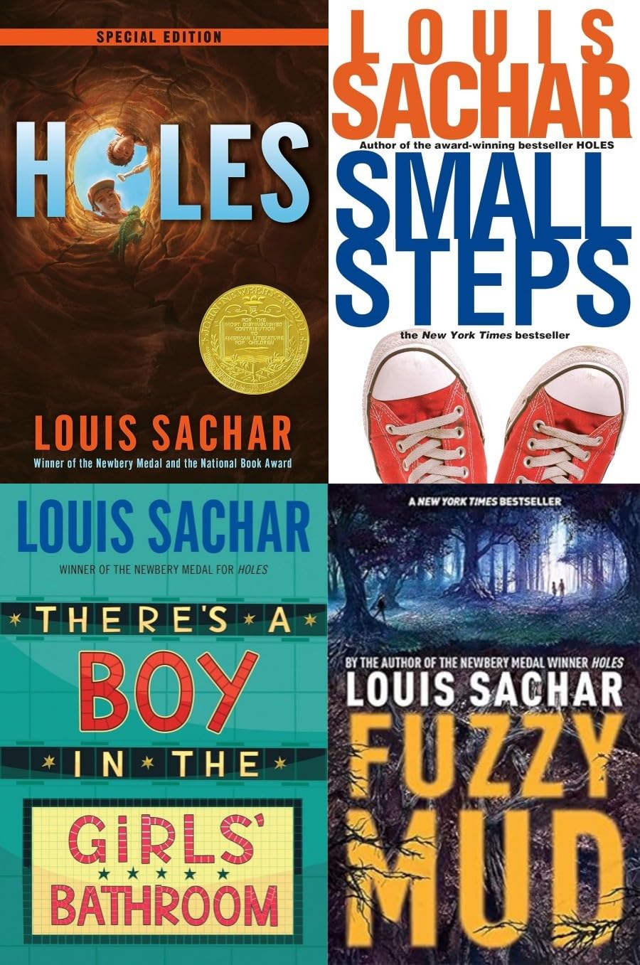 Louis Sachar Bestselling Books Set (4 Books) - Holes; Small Steps ...
