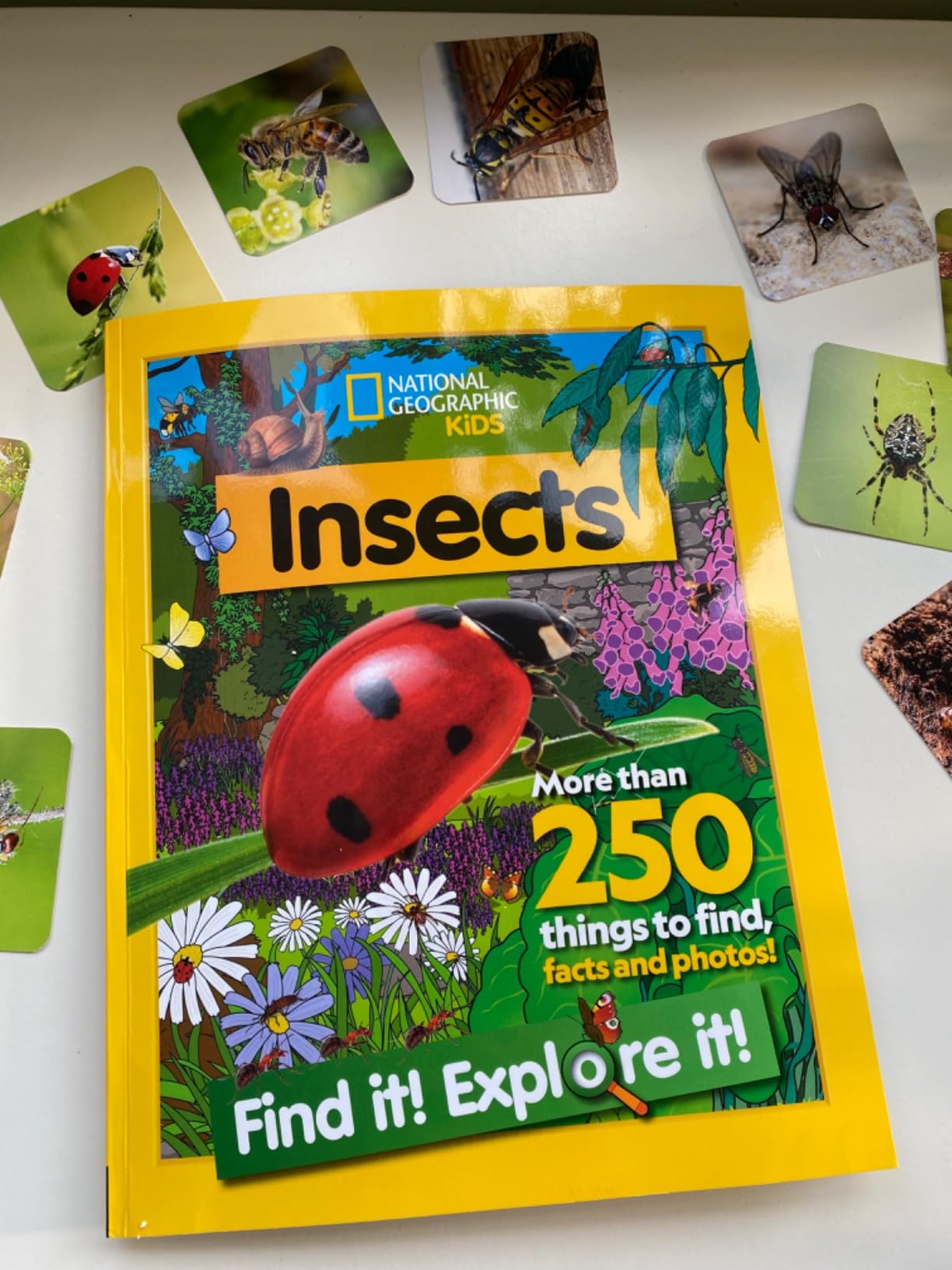 Insects Find it! Explore it!: More than 250 things to find, facts and ...