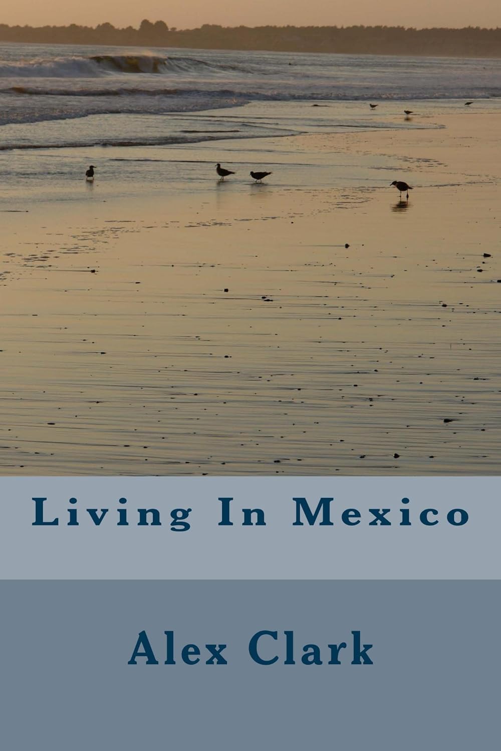 Amazon.com: Living In Mexico eBook : Clark, Alex: Kindle Store