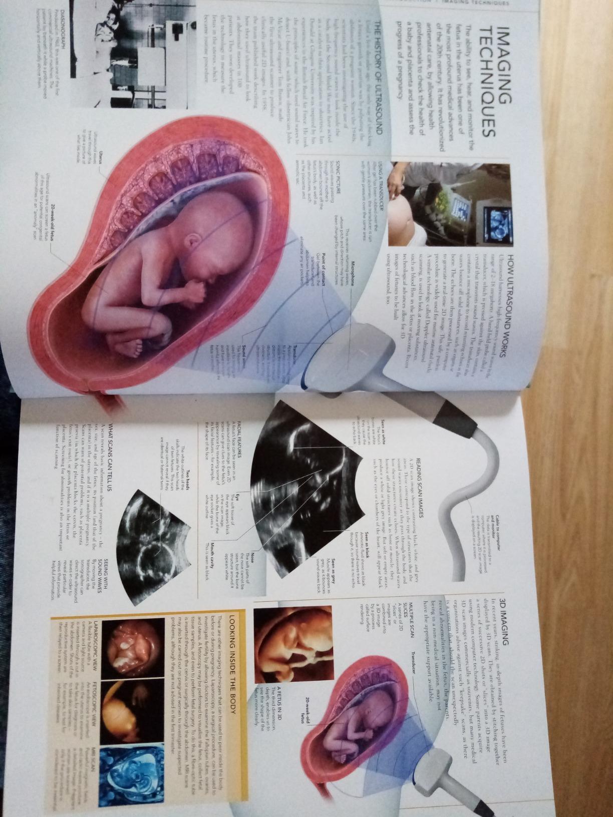 The Science of Pregnancy: The Complete Illustrated Guide from ...