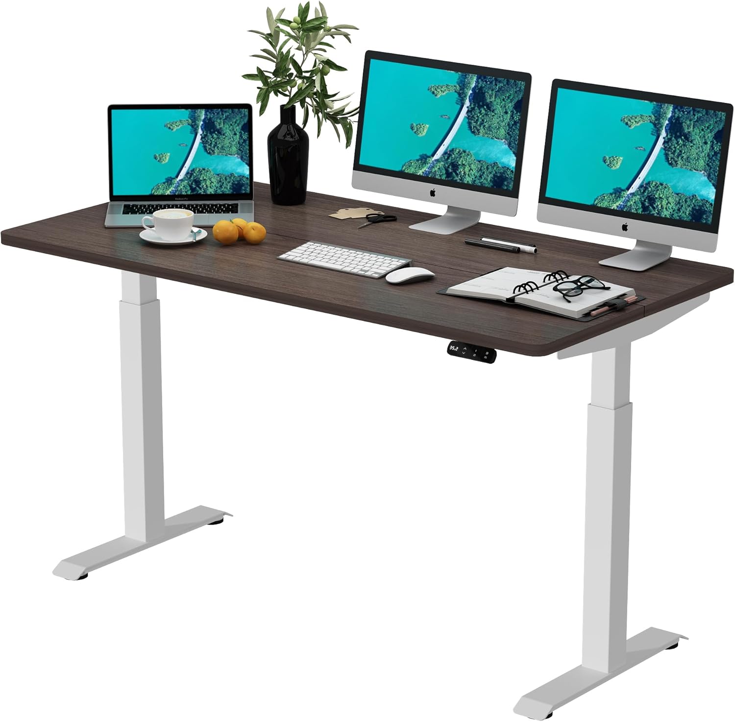 Amazon.com: ALFA FURNISHING Electric Standing Desk Adjustable Height ...