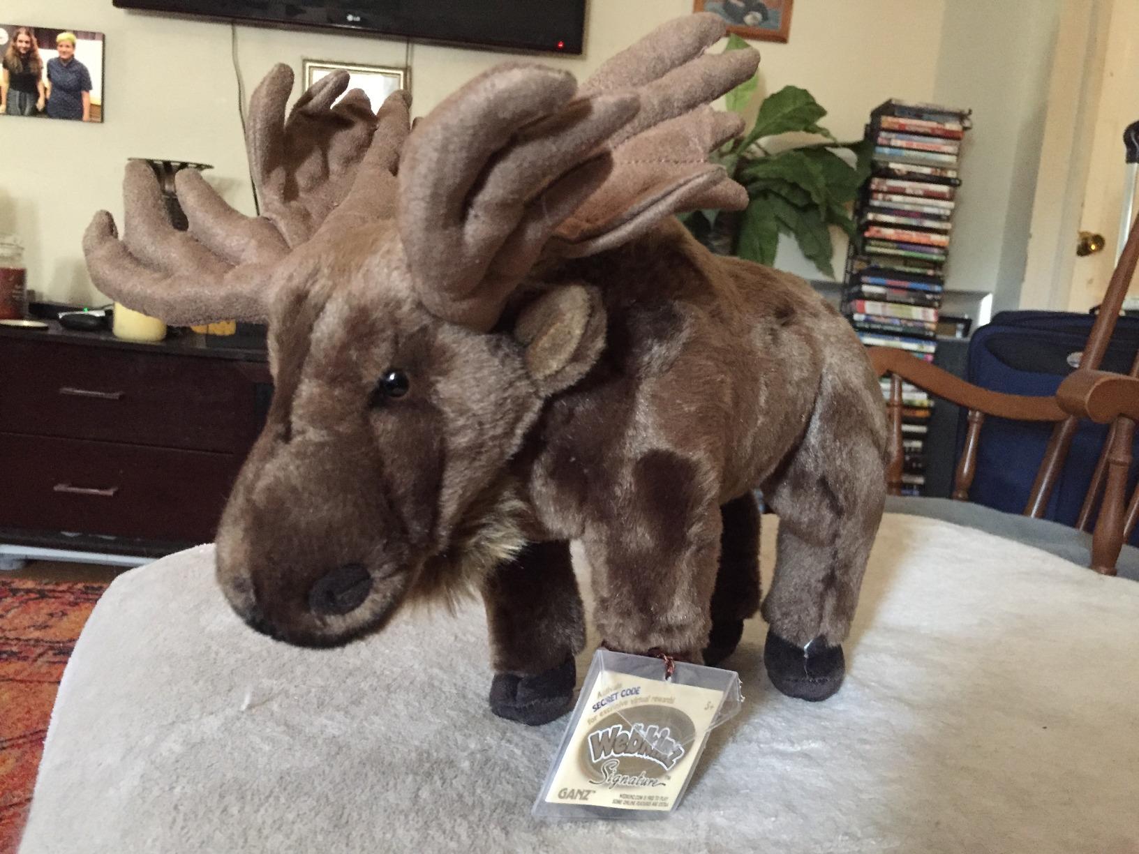 Amazon.com: Ganz Webkinz Signature Moose Plush : Toys & Games