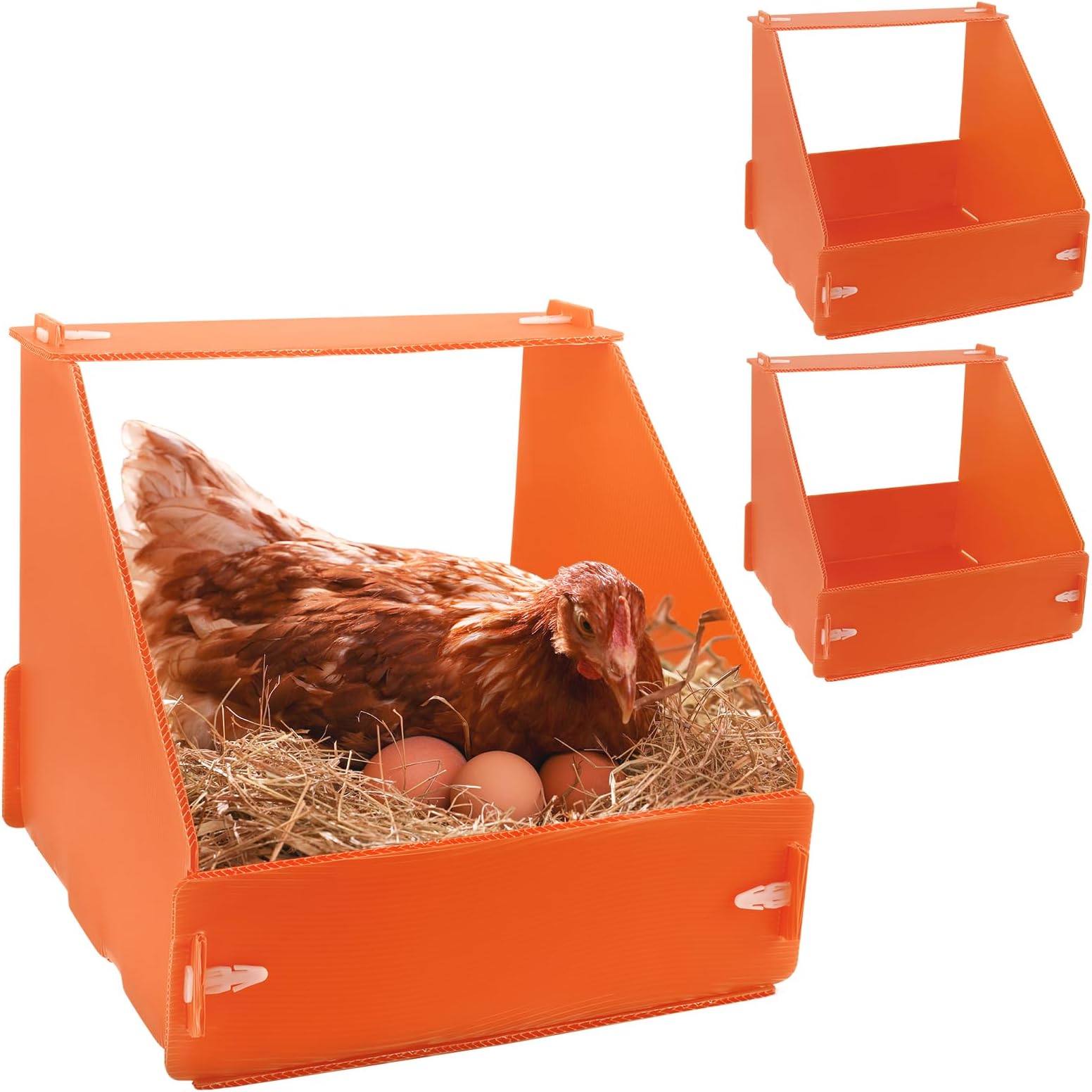 Amazon.com : Miller 6 Pack of Large Wall Mount Egg Nesting NEST Boxes ...