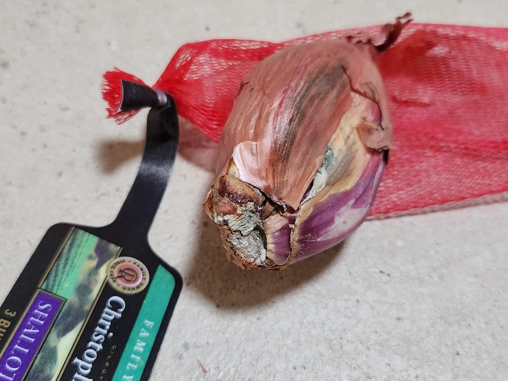 Amazon.com: Christopher Ranch Shallots, 3 Ct