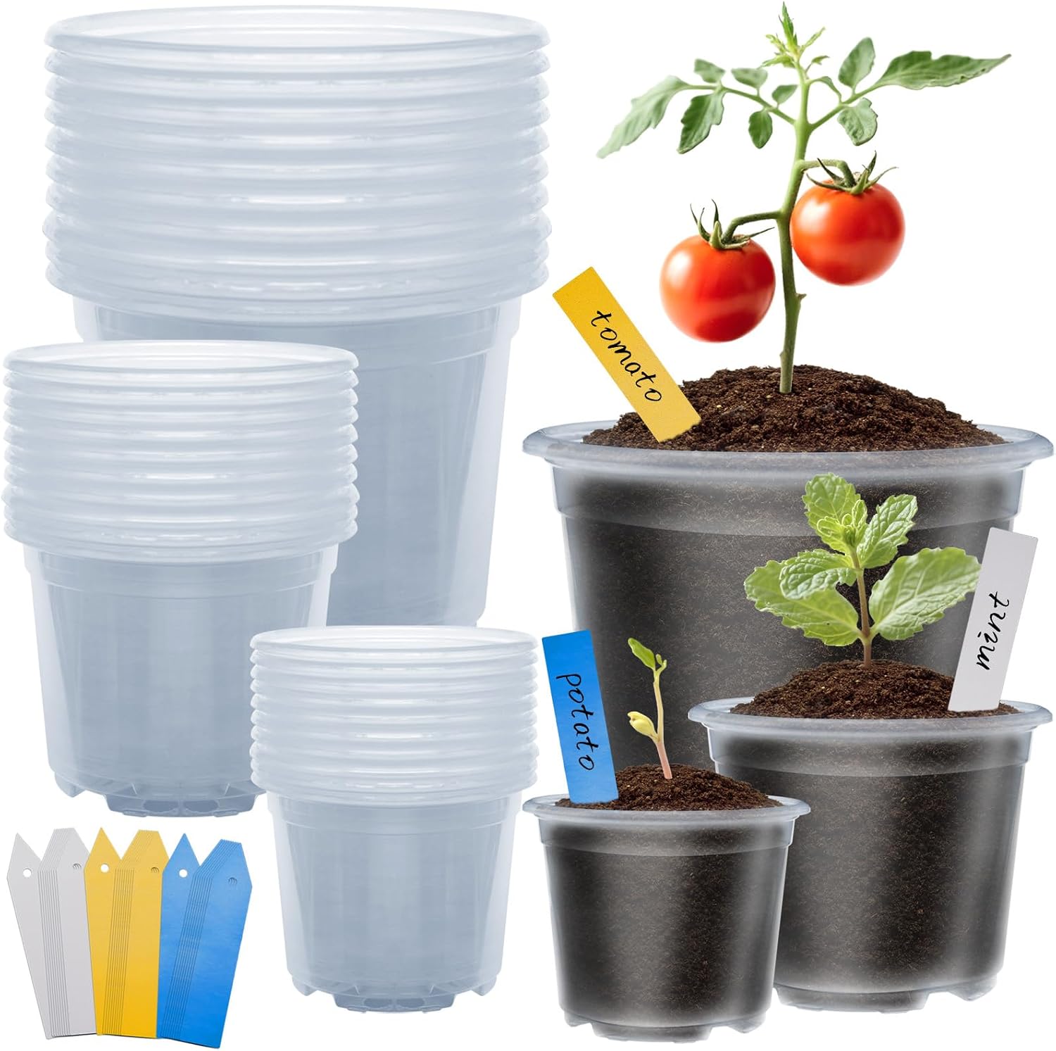 Amazon.com: iriscono Nursery Pots for Plants, 30 Packs Clear Nursery ...