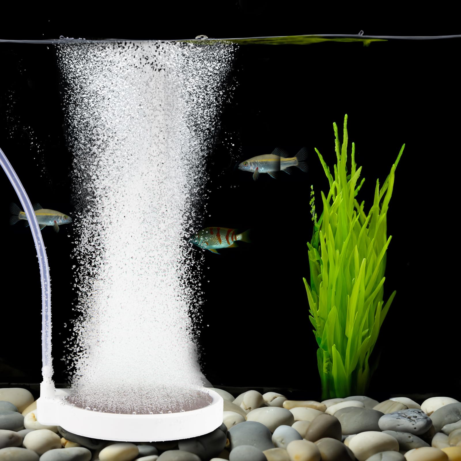 BLOTFISH Fish Tank Air Stone, 2 Inch Nano Ultra-High Dissolved Oxygen ...