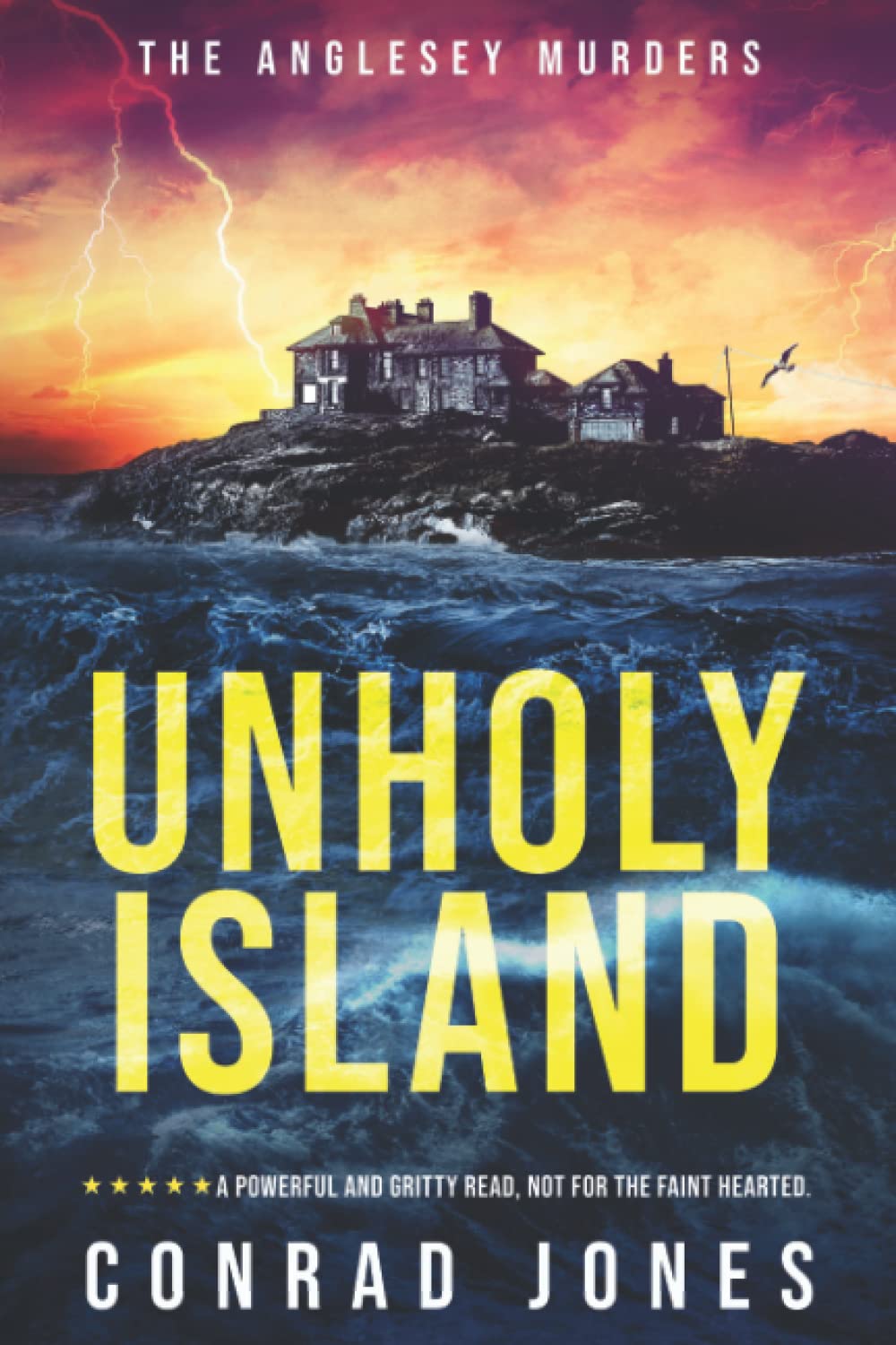 Amazon.com: The Anglesey Murders: Unholy Island: 9781097157235: Jones ...