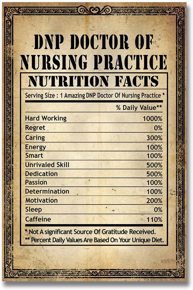 Amazon.com: Motivational Posters Inspirational Posters DNP Doctor Of ...