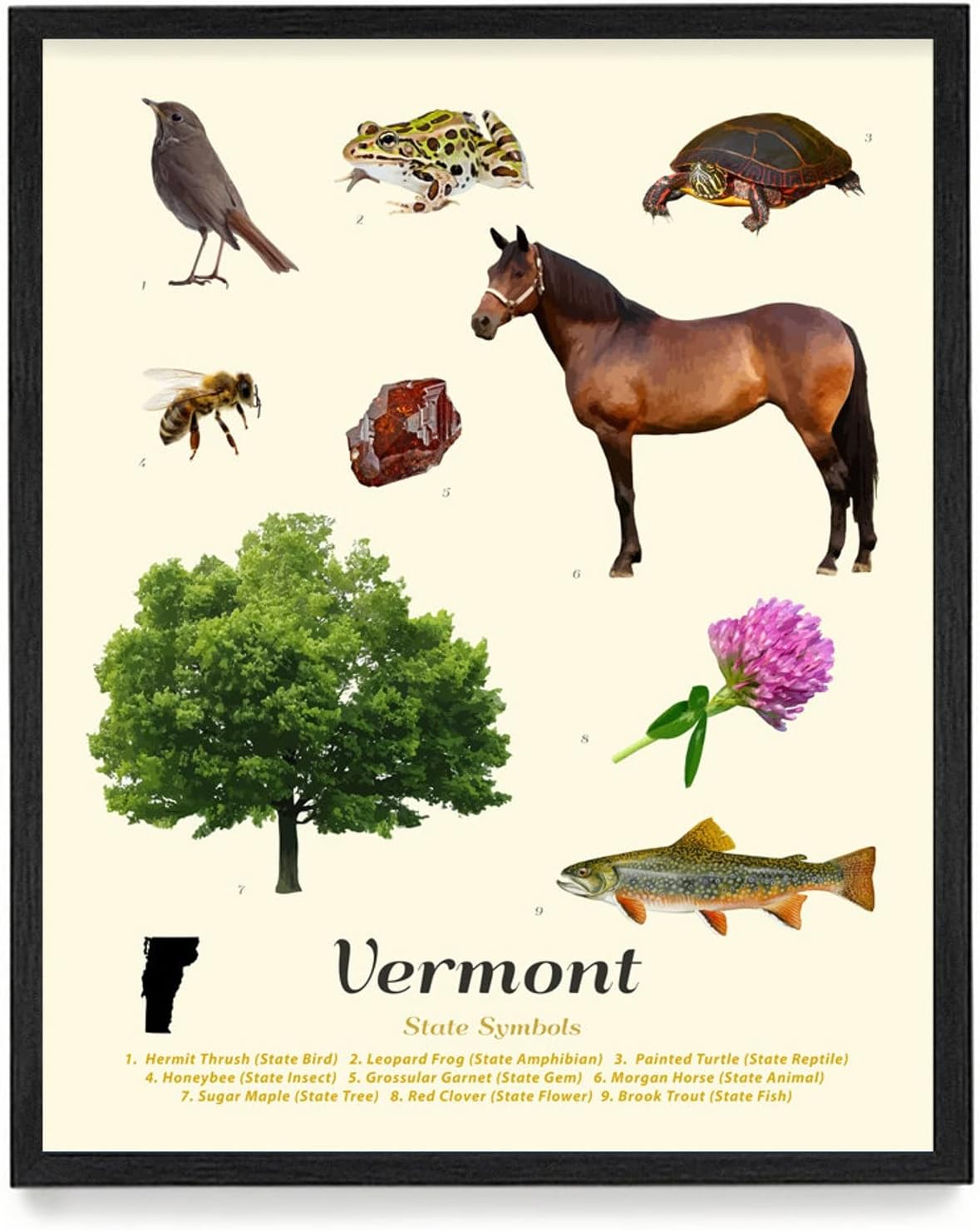 Amazon.com: Wunderkammer Studio - Vermont State Symbols Poster Print ...