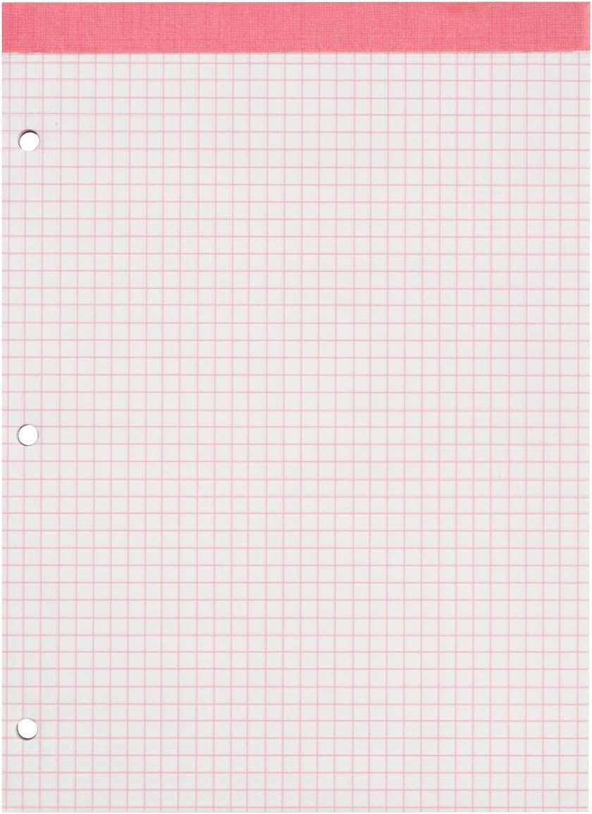 Amazon.com : Ampad 20-287, Evidence Dual Pads, Letter Size, Pink Ruling ...