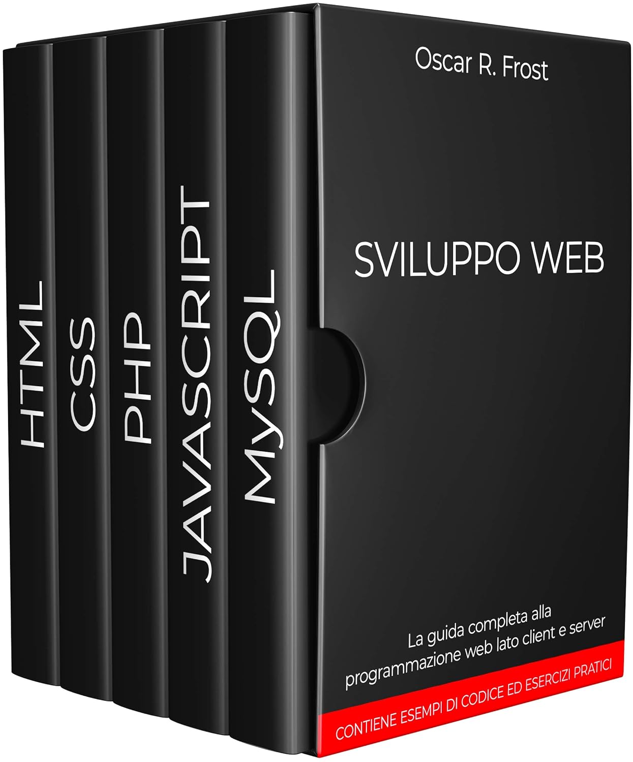 SVILUPPO WEB : La guida completa alla programmazione web lato client e server eBook : Frost ...