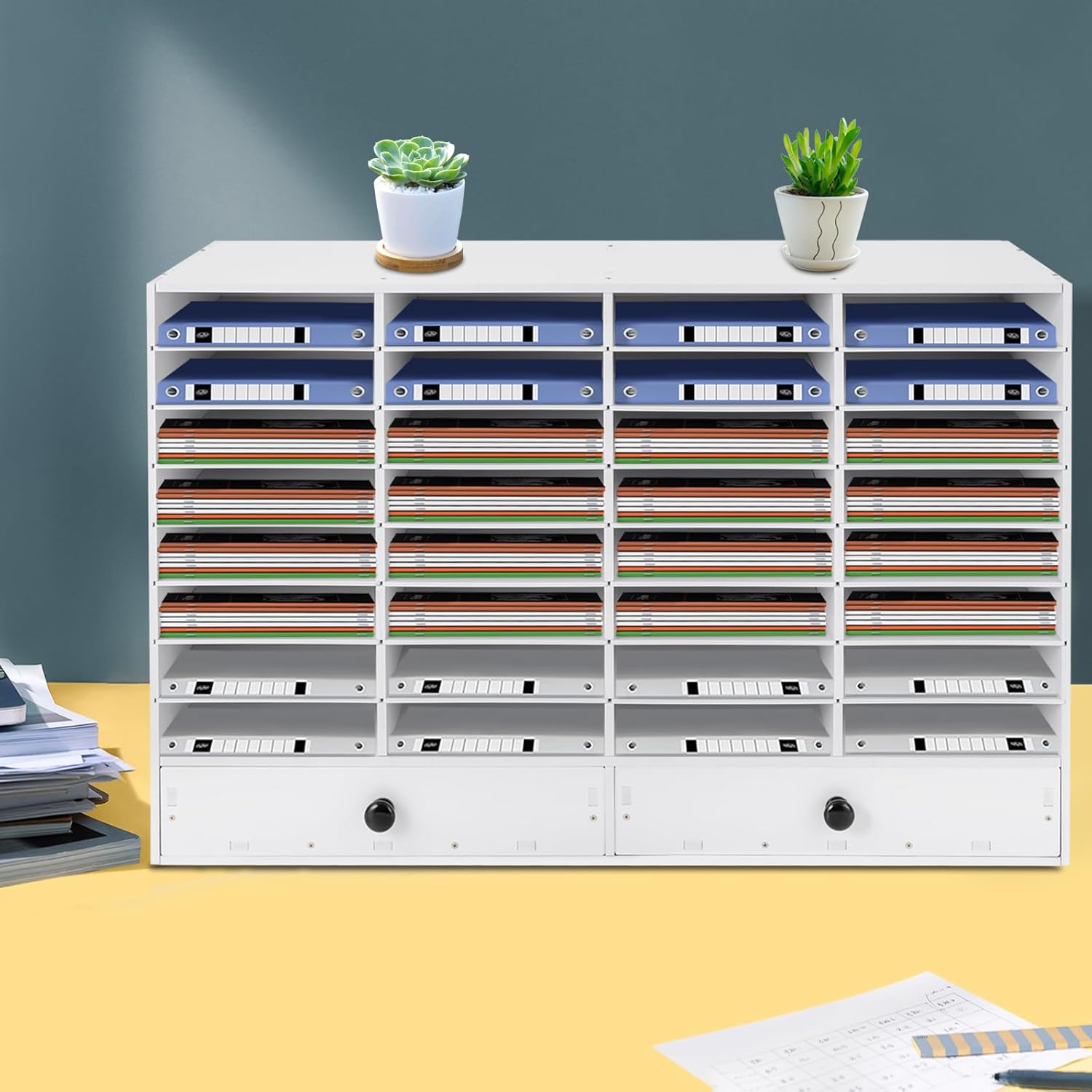 Amazon.com: BRICZUNA Document Storage Cabinet, Adjustable Paper and ...