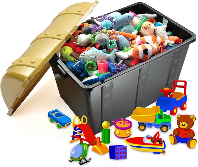 Amazon.com: Fun Express Large Kids Treasure Chest Box - Fun Plastic ...