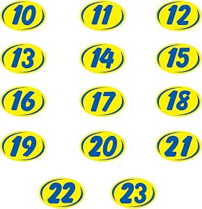 Amazon.com - EZ-Line Oval Model Windshield Year Stickers for Car ...
