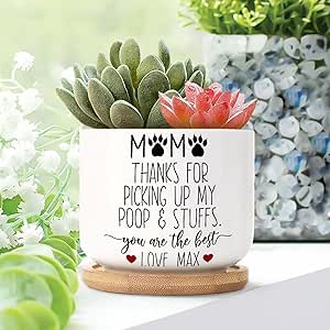 Amazon.com: DecStic Mama Thanks for Picking Up My Poop Planter Ceramic ...