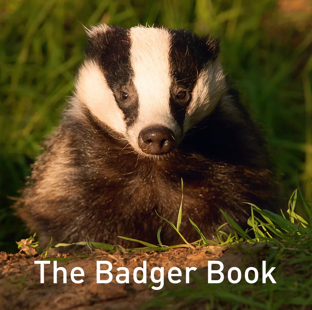 The Badger Book (The Nature Book Series): Amazon.co.uk: Jo Byrne, Jane ...