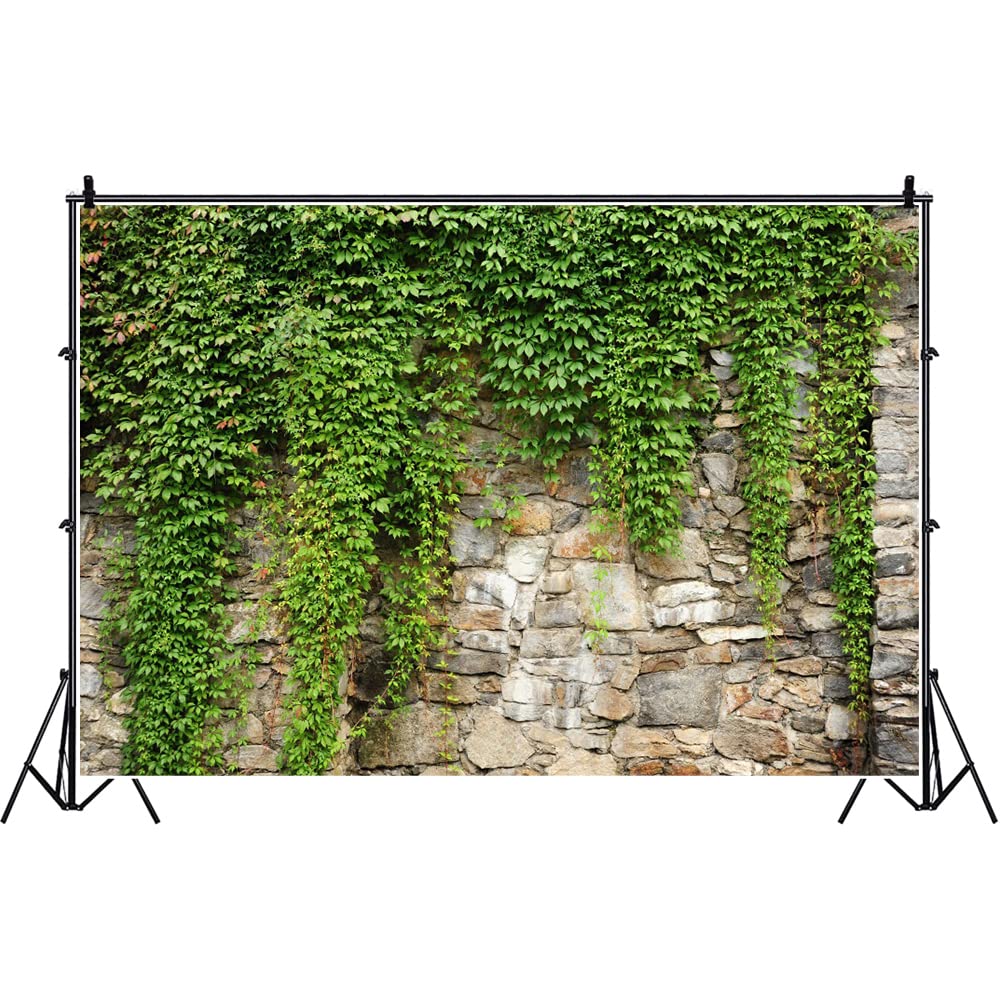 Amazon.com : Laeacco 10x8ft Rustic Rock Brick Wall Backdrop Green Ivy ...
