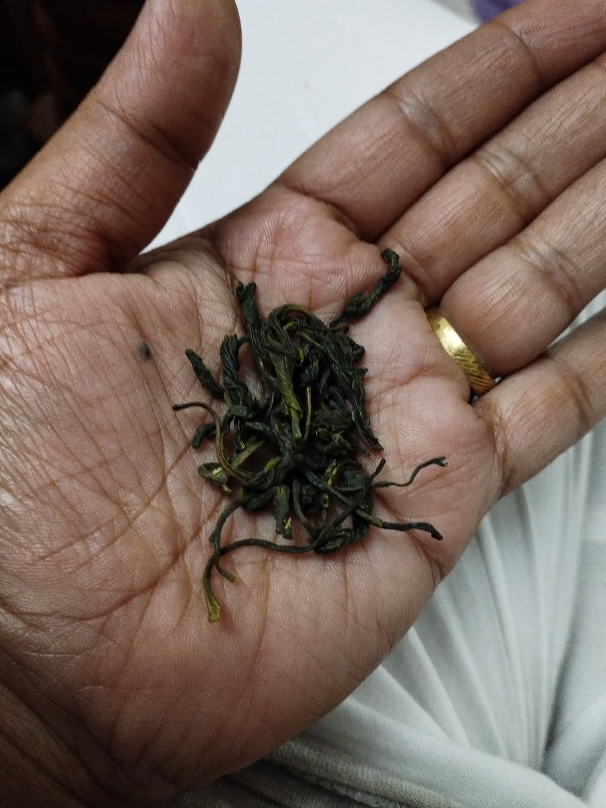 Nilgiri's Natural Green Tea Leaves - 1 Kg - Loose Leaves : Amazon.in ...