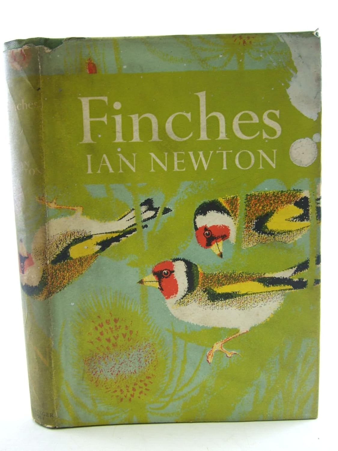 Finches: Newton, I.: 9780800827205: Amazon.com: Books