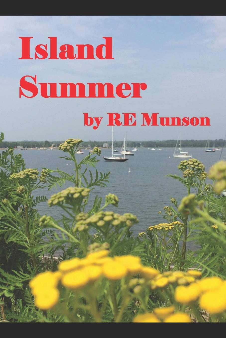 Island Summer: Munson, RE: 9781520154756: Amazon.com: Books