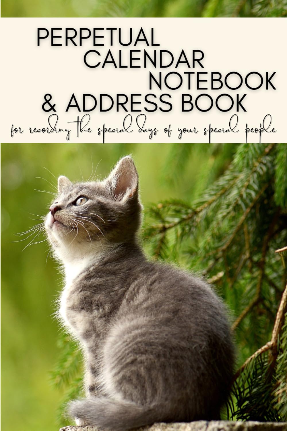 Amazon.com: Perpetual Calendar Notebook and Address Book: For Recording ...
