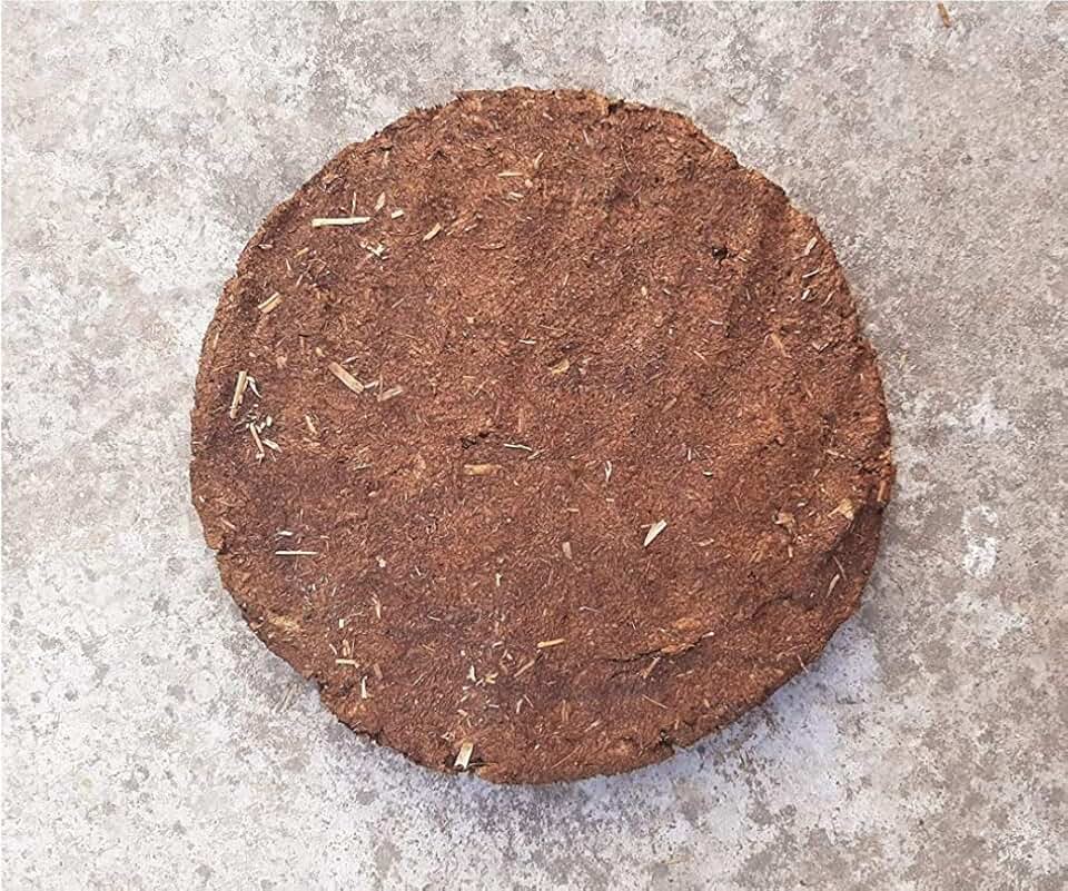 Amazon.in: cow dung cake