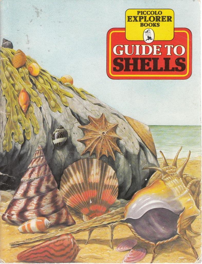 Guide to Shells (Piccolo explorer books) : Cochrane, Jennifer, Allen ...