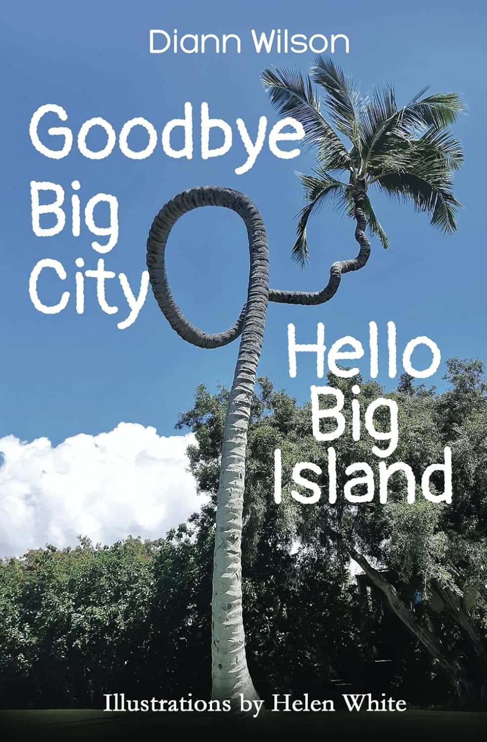 Amazon.com: Goodbye Big City, Hello Big Island: 9798985929393: Wilson ...