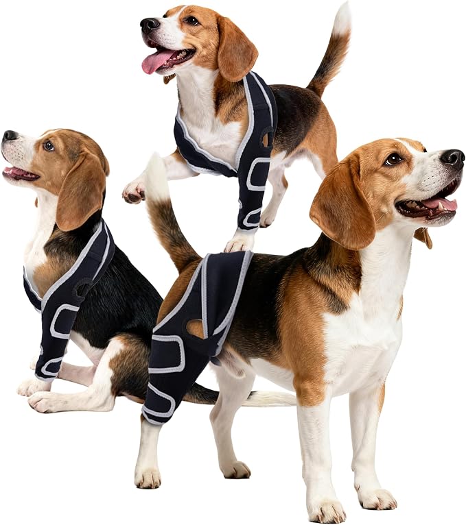 Amazon.com : Aeegee Adjustable Dog Knee Brace for ACL tears and ...