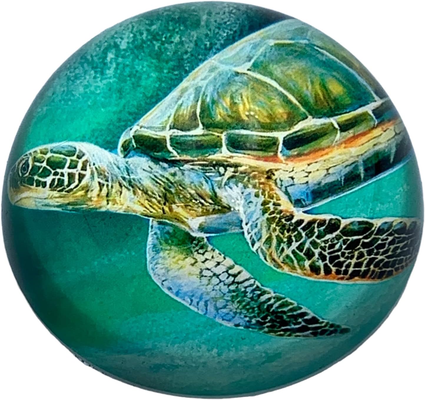 Amazon.com: Value Arts Nautical Sea Turtle Paperweight, Glass Dome ...