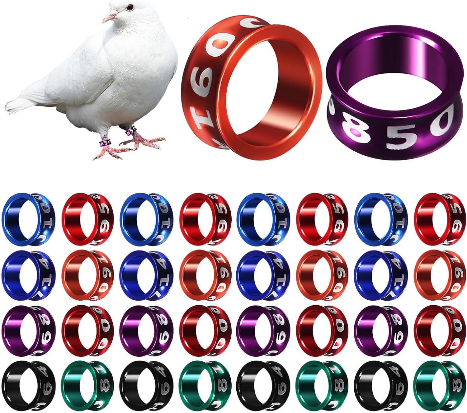Amazon.com : Yardwe 50Pcs Bird Leg Rings Numbered Identification Leg ...