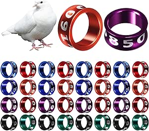 Amazon.com : Yardwe 50Pcs Bird Leg Rings Numbered Identification Leg ...