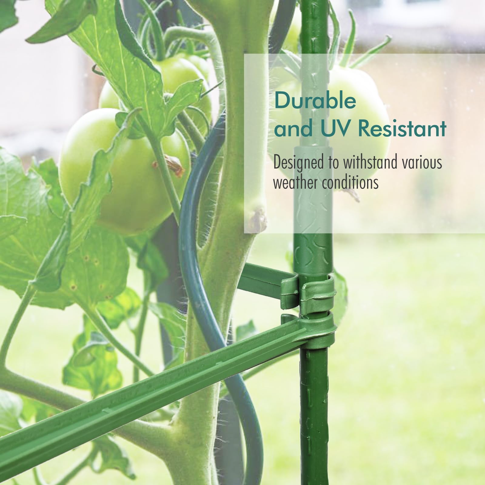 Snapklik.com : Tomato Cage For Garden, Fetanten 48 Inches Tomato ...