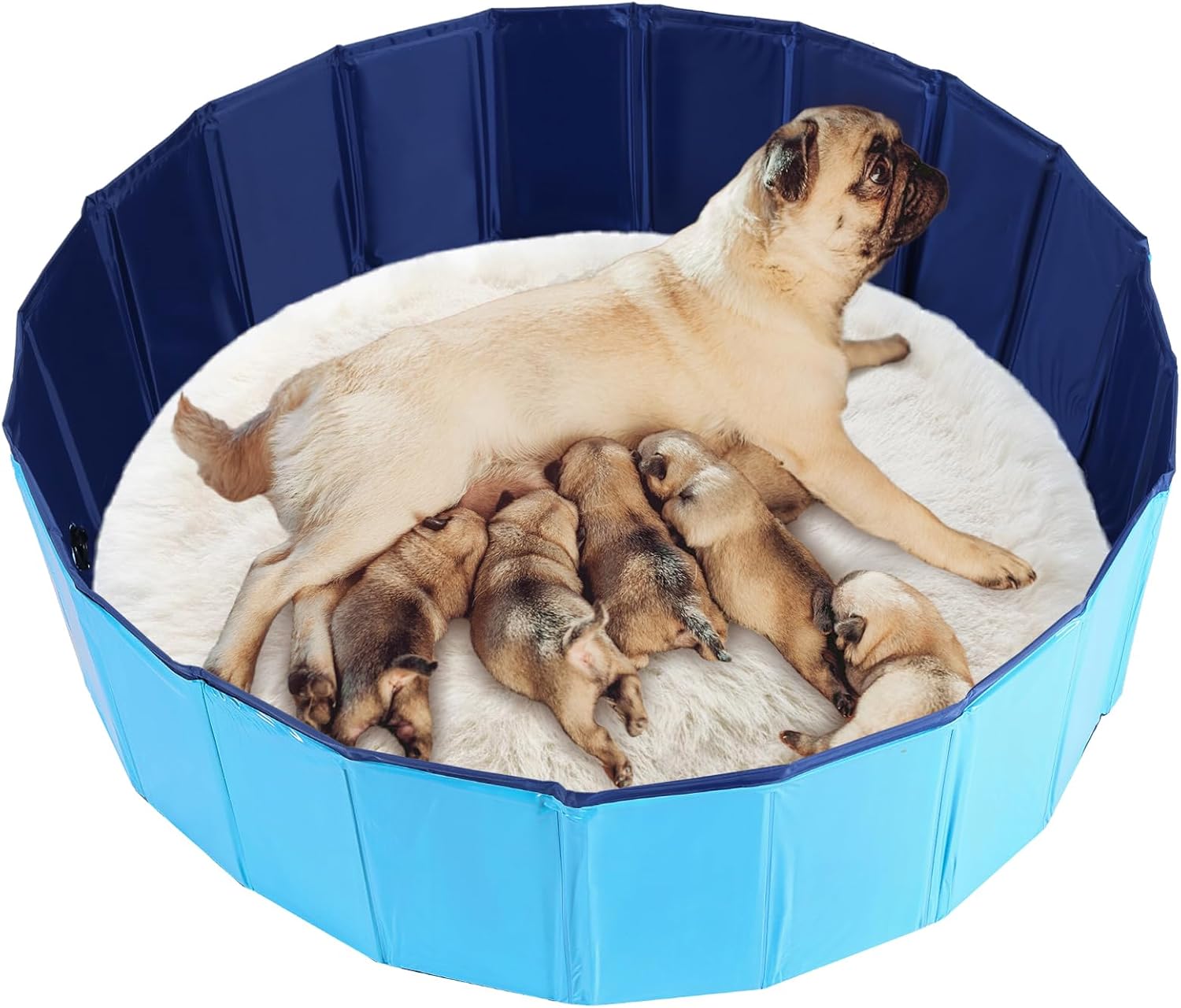 Amazon.com: FLKQC Whelping Pen for Dogs, Foldable Birthing Pool for ...