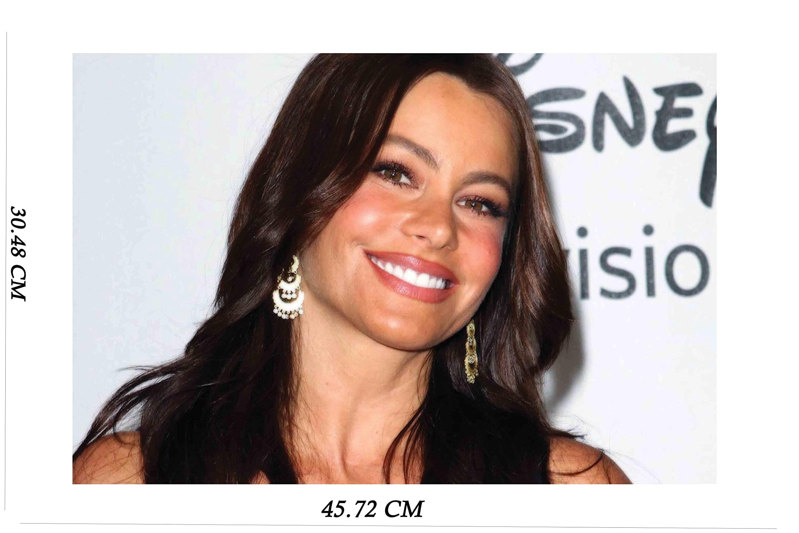 Buy Yellow Alley Hollywood Celebrity Wall Poster|Actress Poster for ...