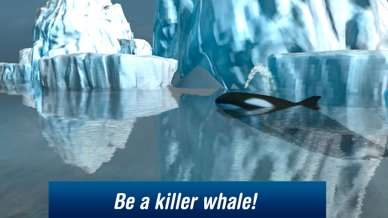 Killer Whale: Sea Simulator 3D:Amazon.de:Appstore for Android