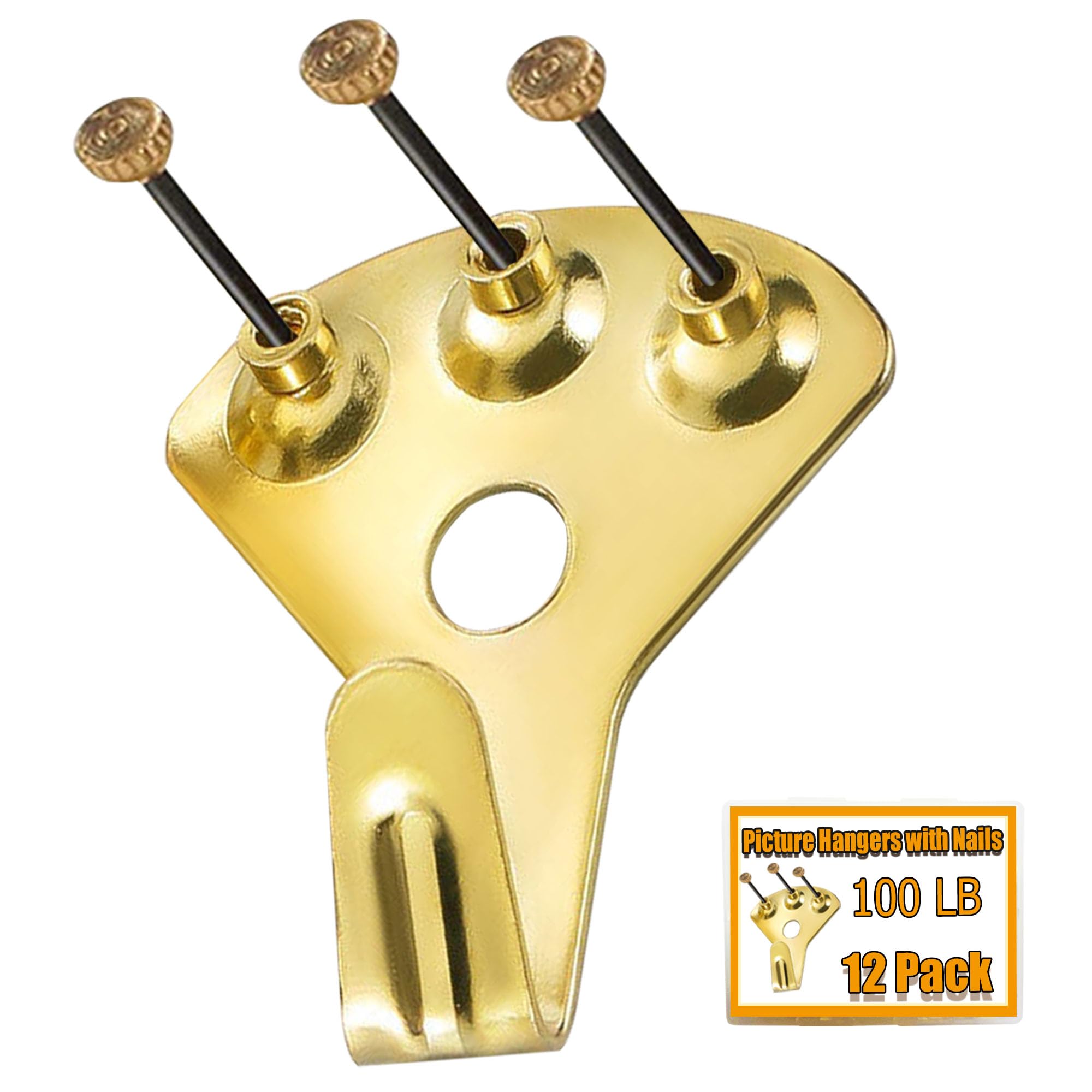 Apalie 12PCS 100lbs Heavy Duty Picture Hangers with Nails,Picture ...