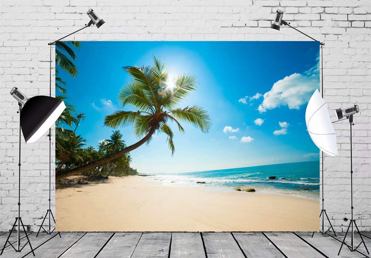 Buy BELECO10x6.5ft Tropical Beach Backdrop Tropical Sand Beach with ...