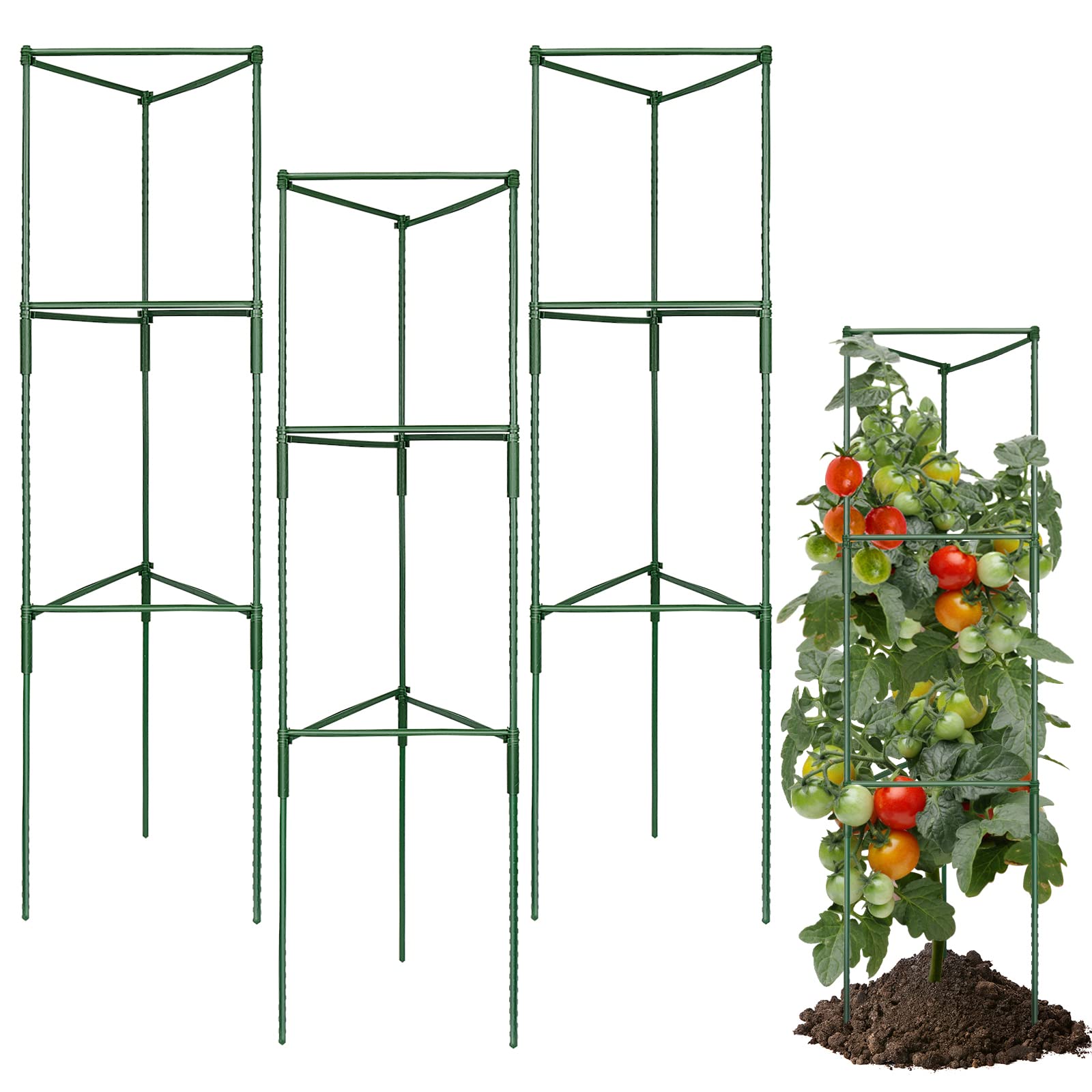 Easy Tomato Trellis Ubicaciondepersonas cdmx gob mx easy-tomato-trellis-ubicaciondepersonas-cdmx-gob-mx