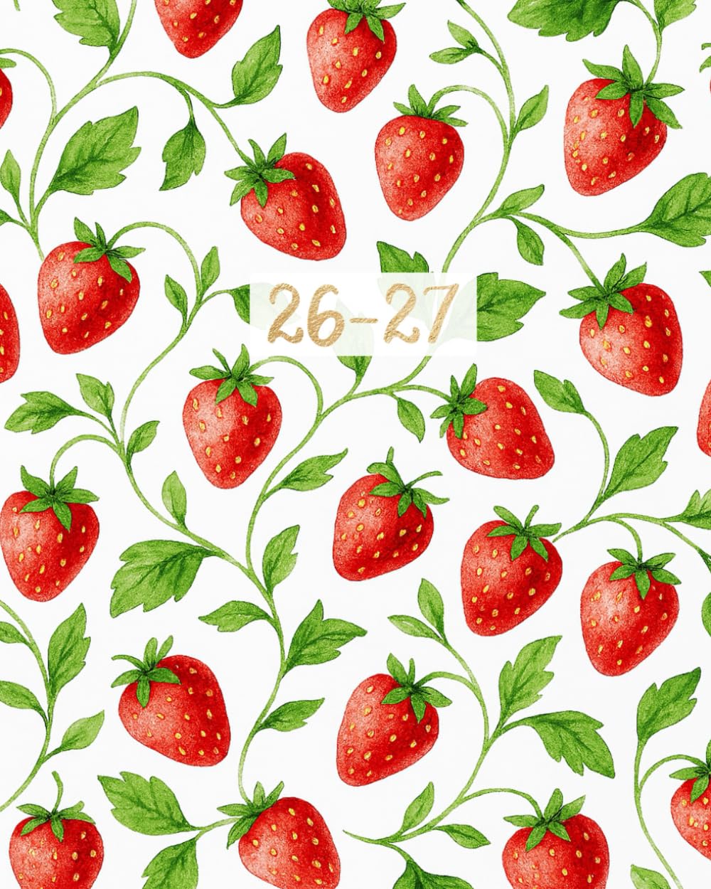 Amazon.com: Strawberry Planner 2026-2027: Monthly Calendar for Women ...