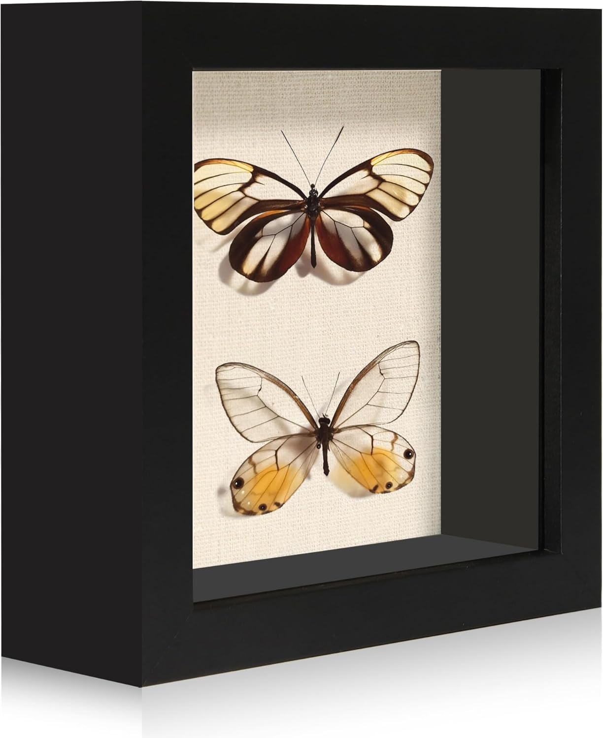 Amazon.com - CCDCC 5x5 Small Shadow Box Picture Frame Display Case with ...