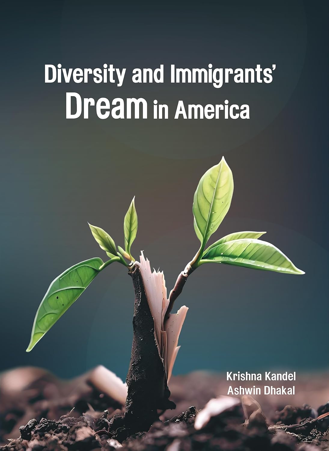 Amazon.com: Diversity and Immigrants’ Dream in America eBook : Kandel ...